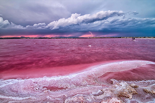 Masazir Lake: A Natural Wonder With A Pink Hue (2024)