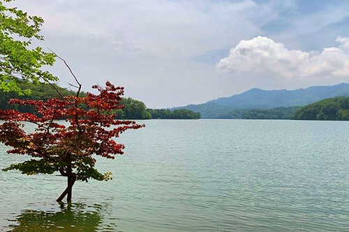 The City Of Lankaran (Around Azerbaijan 2024)